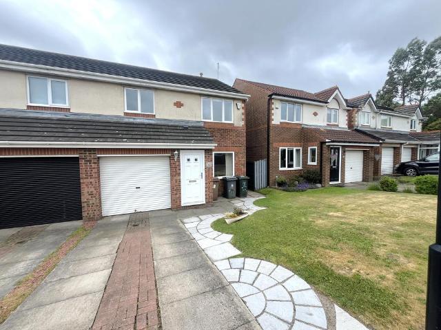 3 bedroom house to rent