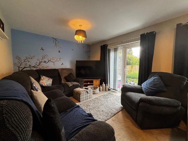 3 bedroom house to rent