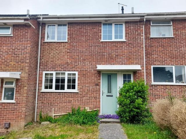 3 bedroom house to rent