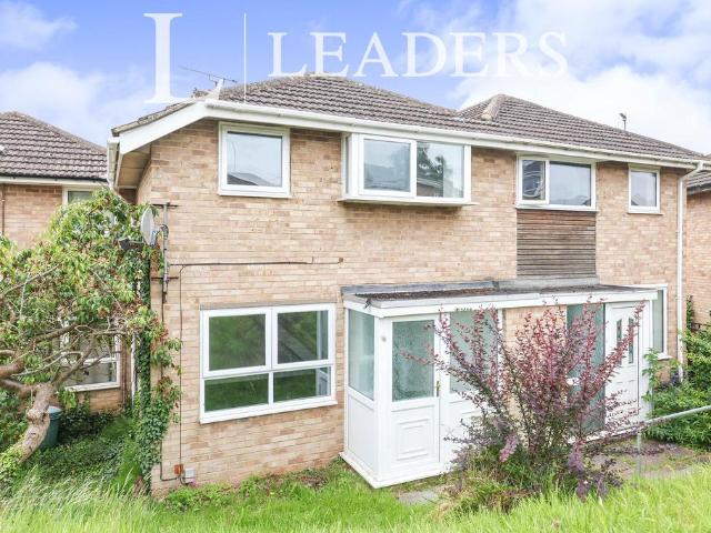 3 bedroom house to rent