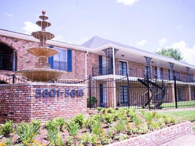 3 bedroom, Houston TX 77081 77330721
