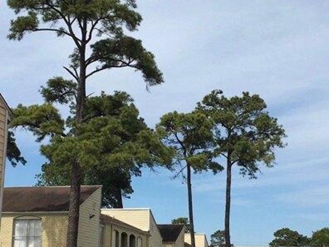 3 bedroom, Houston TX 77092 LS89649556