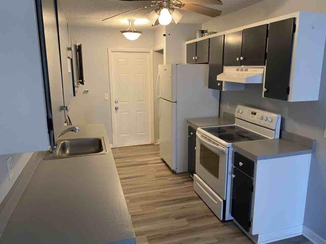 3 Bedroom Home for Rent at 437 E Rosewood Ln, Tavares, FL 32778