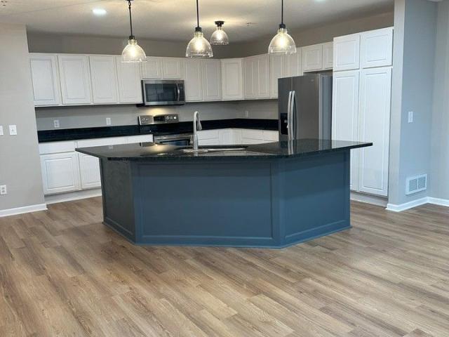 3 Bedroom Home for Rent at 6942 S Park Dr, Savage, MN 55378