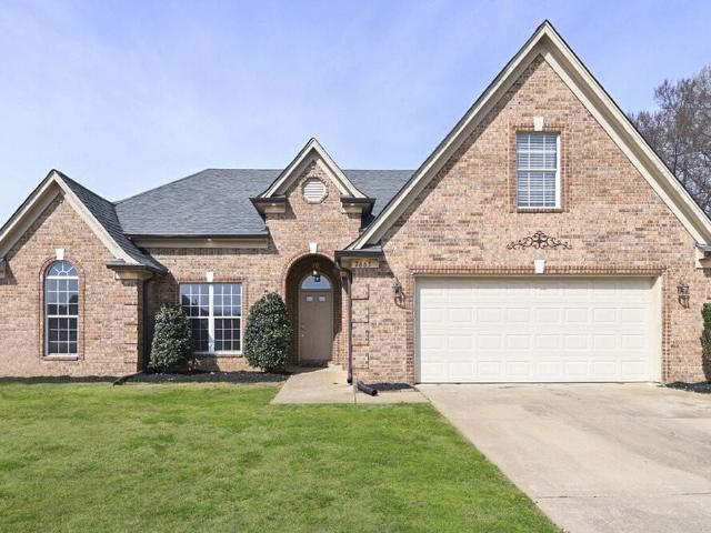 3 Bedroom Home for Rent at 7663 Redberry Dr, Horn Lake, MS 38637