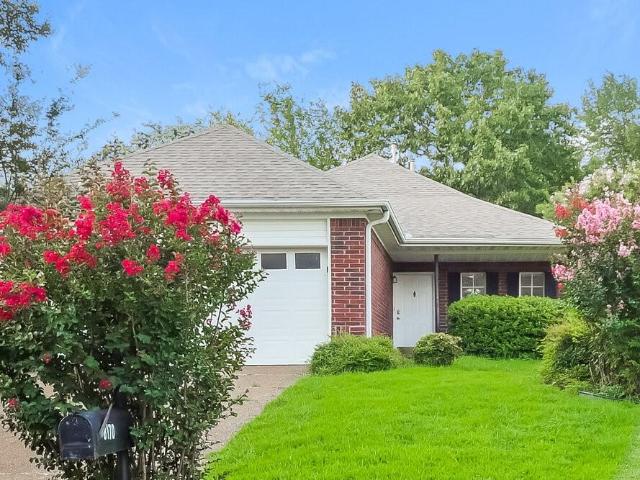 3 Bedroom Home for Rent at 8170 Timber Knoll Ln, Memphis, TN 38018 Alliance of Cordova Neighborhoods