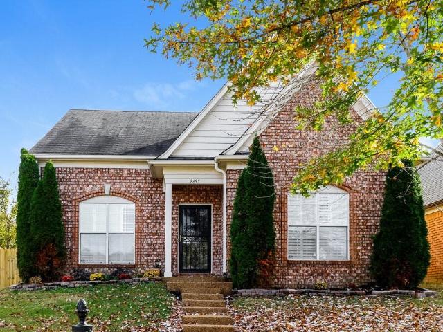 3 Bedroom Home for Rent at 8695 Rogers Park Ave, Cordova, TN 38016