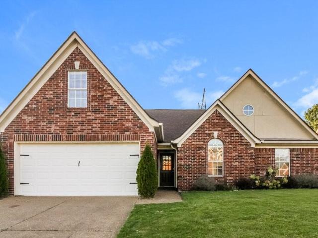3 Bedroom Home for Rent at 1125 Red Fern Cir W, Memphis, TN 38018 Cordova Ridge