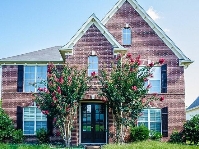 3 Bedroom Home for Rent at 1132 Hoska Cv, Memphis, TN 38018 Alliance of Cordova Neighborhoods