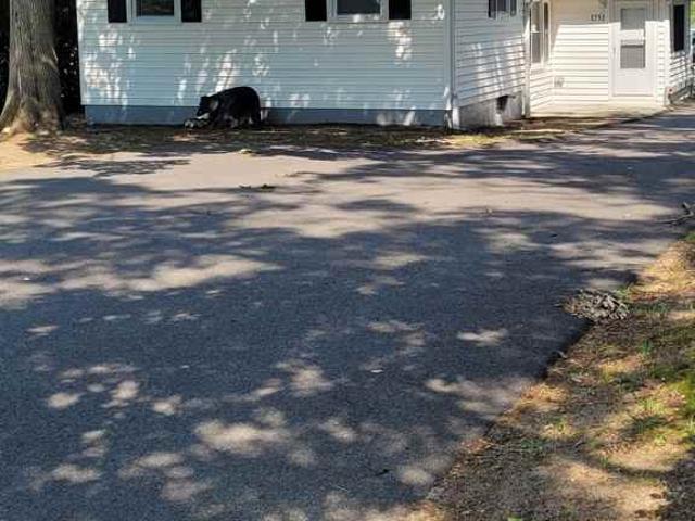 3 Bedroom Home for Rent at 1751 Almonesson Rd #NA, Deptford, NJ 08096