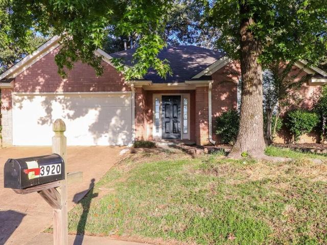 3 Bedroom Home for Rent at 3920 Pecan Trace Cv, Memphis, TN 38135
