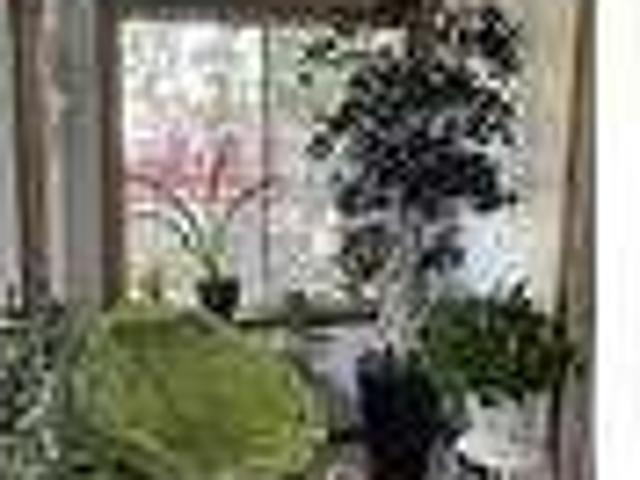 3 Bedroom Homes For Rent Arlington Massachusetts