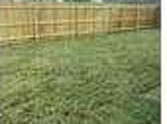 3 Bedroom Homes For Rent Brownsville TX