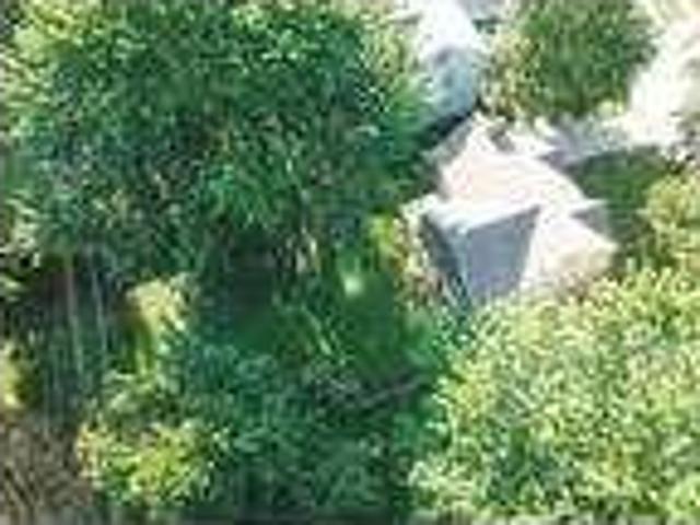 3 Bedroom Homes For Rent Kansas City Missouri