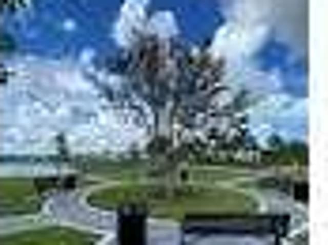 3 Bedroom Homes For Rent Homestead Florida
