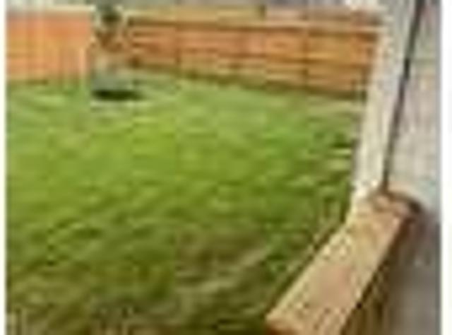3 Bedroom Homes For Rent Saint Hedwig TX