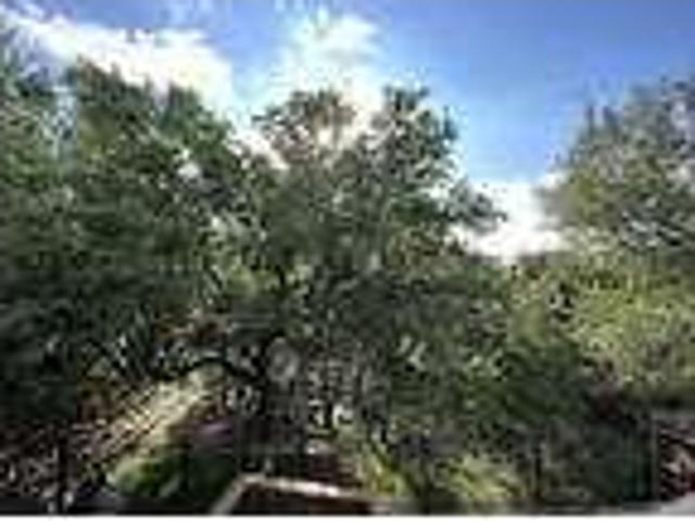3 Bedroom Homes For Rent San Antonio TX