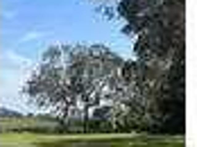 3 Bedroom Homes For Rent Pawleys Island South Carolina