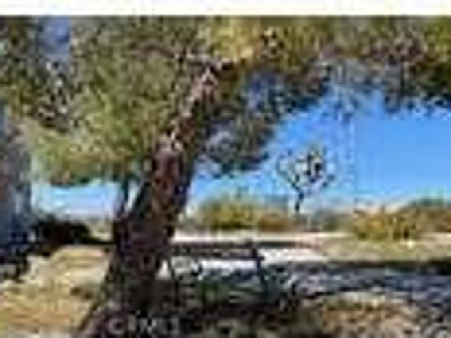 3 Bedroom Homes For Rent Pearblossom CA
