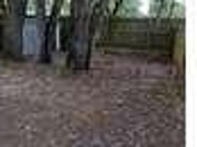 3 Bedroom Homes For Rent Tampa FL