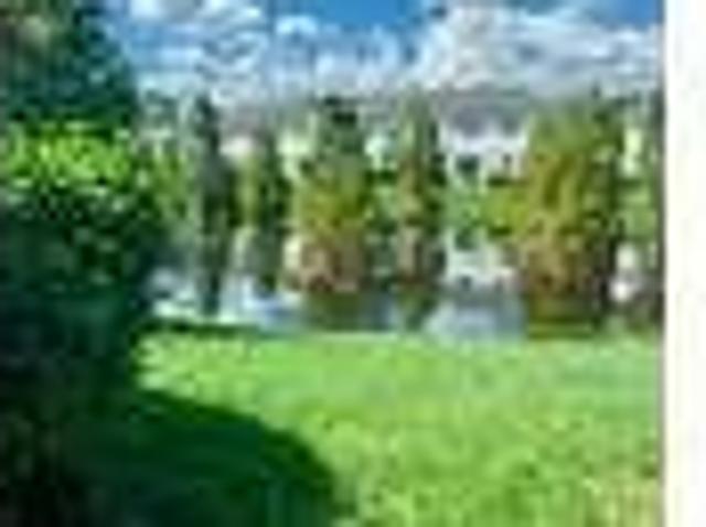 3 Bedroom Homes For Rent Tampa Florida