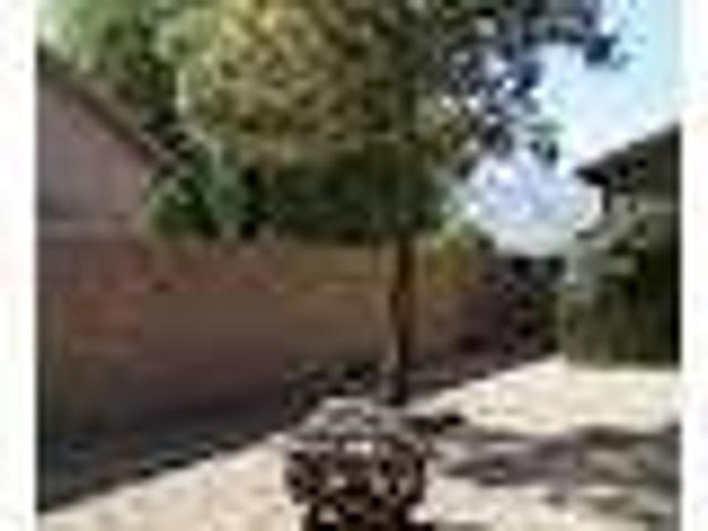 3 Bedroom Homes For Rent Tucson AZ
