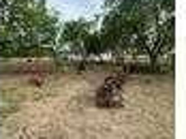 3 bedroom in Palmview TX 78574