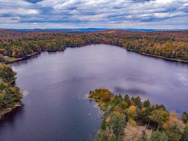 3 bedroom, Otis MA 01253 104010605