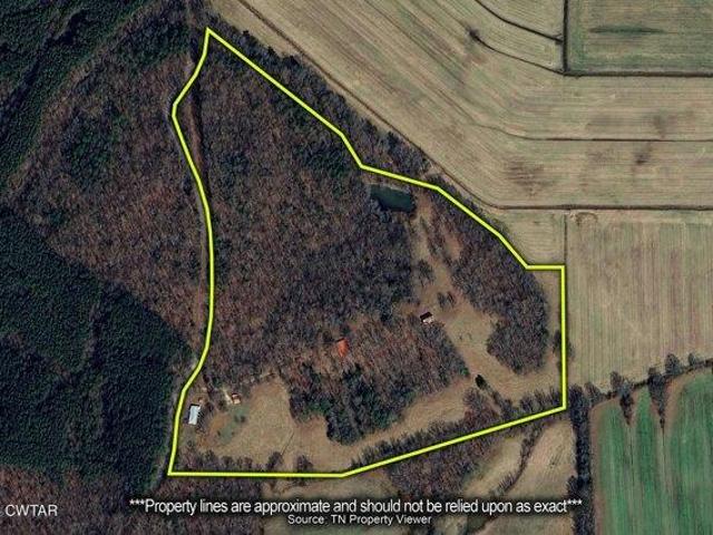 3 bedroom, Lexington TN 38351 89202805