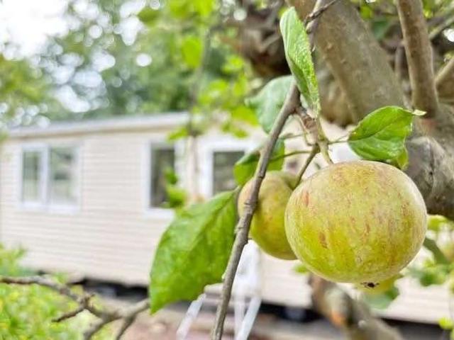 3 Bedroom Mobile Home