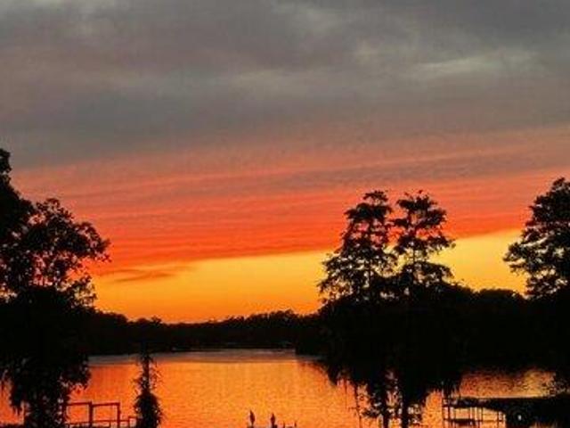 3 bedroom, Manning SC 29102 104902444