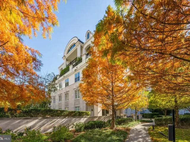3 bedroom, MD MD 102701465