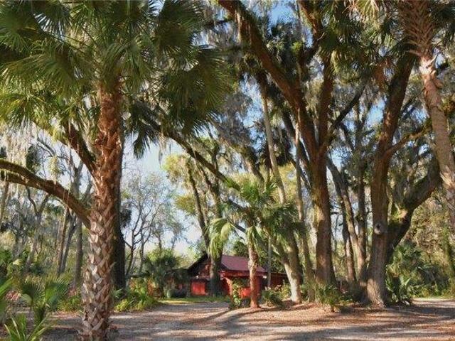 3 bedroom, Micanopy FL 32667 91951980