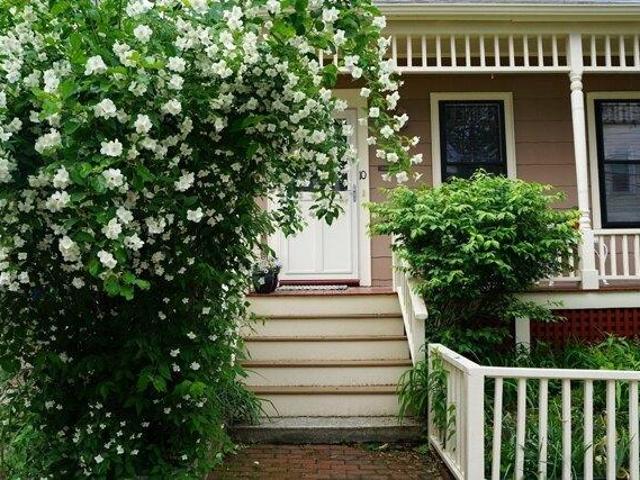 3 bedroom, Somerville MA 02143 104655808