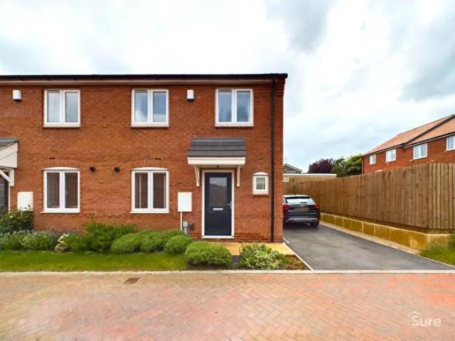 3 Bedroom Semi Detached House To Rent In Pipistrelle Place, Littleover, DE23