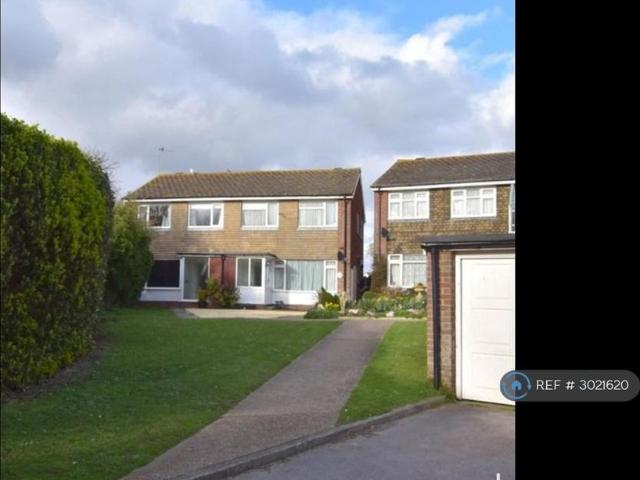 3 bedroom semi detached house to rent