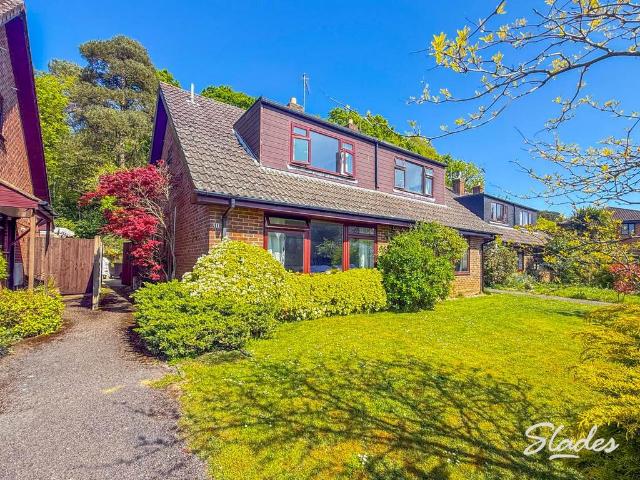 3 bedroom semi detached house to rent