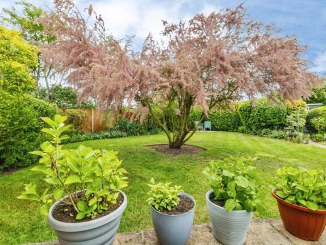 3 bedroom semi detached house for sale in Winthorpe Road, Lincoln, LN6