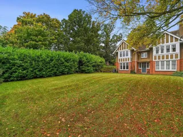 3 bedroom semi detached house for rent in Ipswich Road, Woodbr.