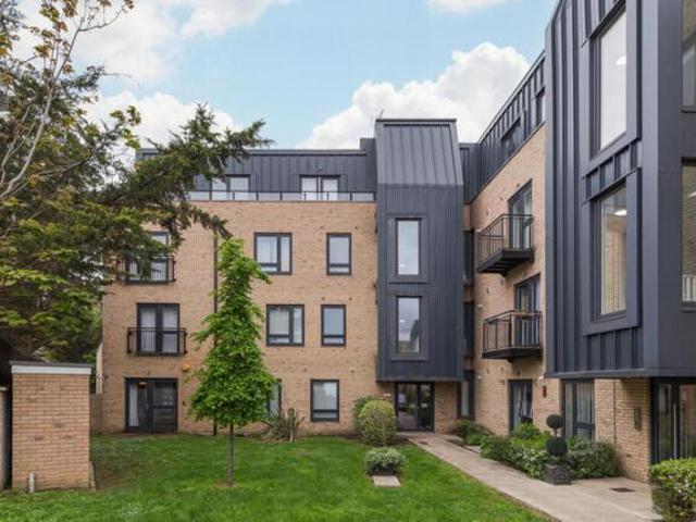 3 Bedroom Shared Living/roommate Ashford Surrey 100456739