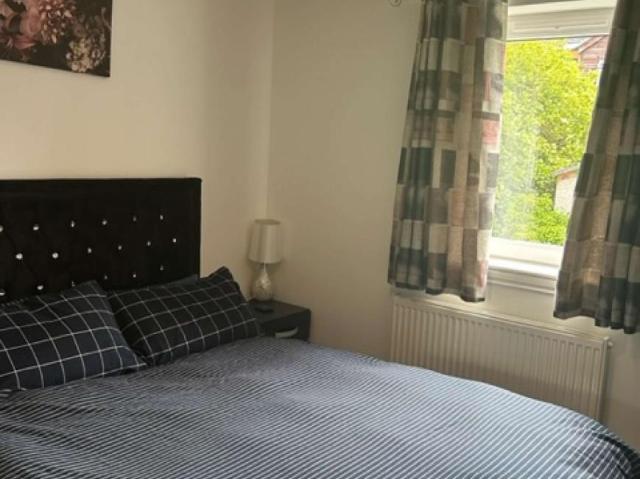 3 Bedroom Shared Living/roommate Glasgow Glasgow LS101771230