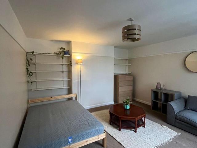 3 Bedroom Shared Living/roommate London London 100217543