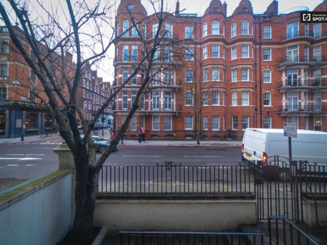 3 Bedroom Shared Living/roommate London London 101732158