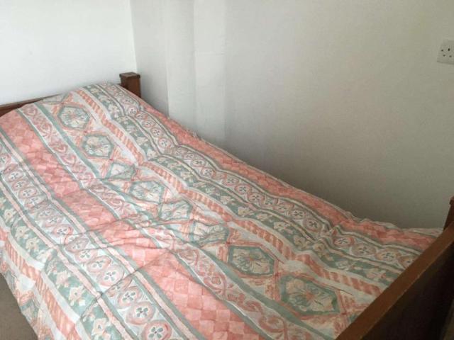 3 Bedroom Shared Living/roommate London London 101812988