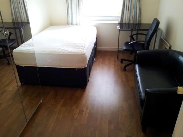 3 Bedroom Shared Living/roommate London London 101823031