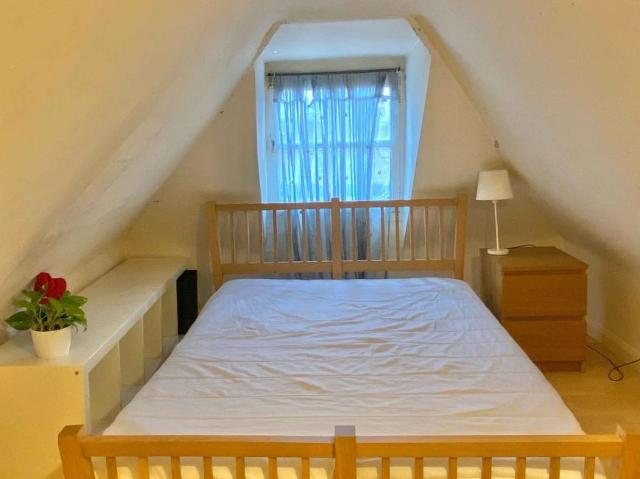 3 Bedroom Shared Living/roommate London London 101844914