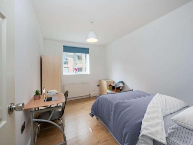 3 Bedroom Shared Living/roommate London London 101845242