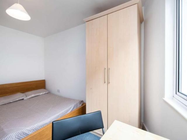 3 Bedroom Shared Living/roommate London London 101843524