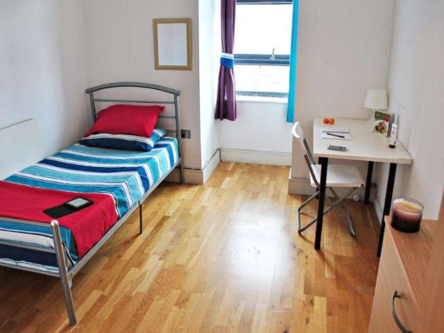 3 Bedroom Shared Living/roommate London London 102797047