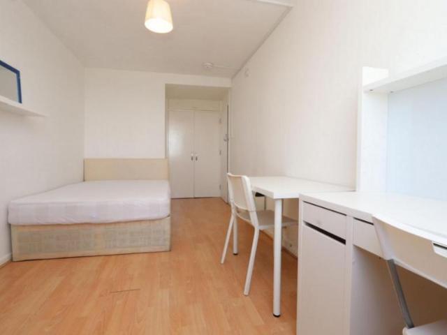 3 Bedroom Shared Living/roommate London London 90559523